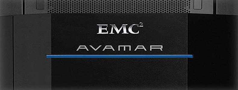 EMC Avamar – Datalibs EMC Avamar – Datalibs